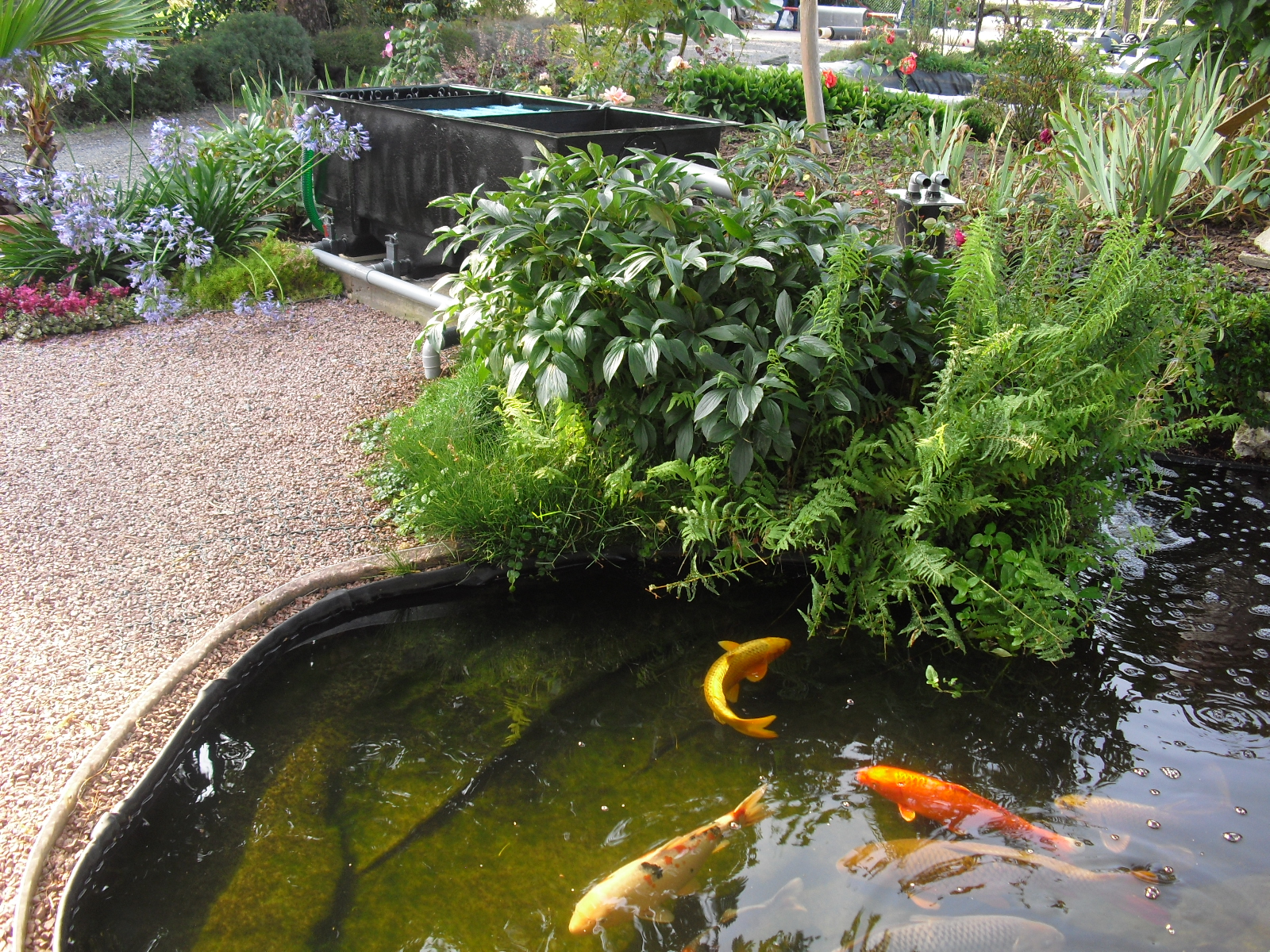 Matériel pour bassin de jardin, oase,aquatic science, Aquadistri, Fireston